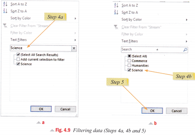 Cbse Notes For Class 7 Computer In Action Advanced Features Of Microsoft Excel 2013 Cbse Tuts
