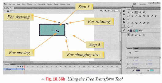 Cbse Notes For Class 7 Computer In Action Introduction To Adobe