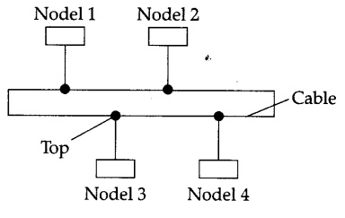 Important Questions for Class 12 Computer Science (Python) - Networking ...