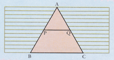 NCERT Class 10 Maths Lab Manual - Basic Proportionality Theorem for a Triangle - CBSE Tuts