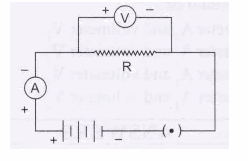 NCERT Class 10 Science Lab Manual Resistors in Parallel - CBSE Tuts