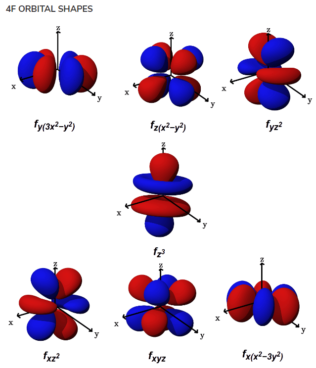 What is the shape of f-orbital??? - CBSE Tuts