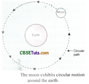 Introduction to Motion - Definition, Types and Examples - CBSE Tuts