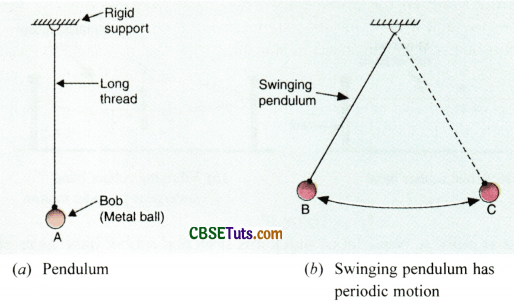 Introduction to Motion - Definition, Types and Examples - CBSE Tuts