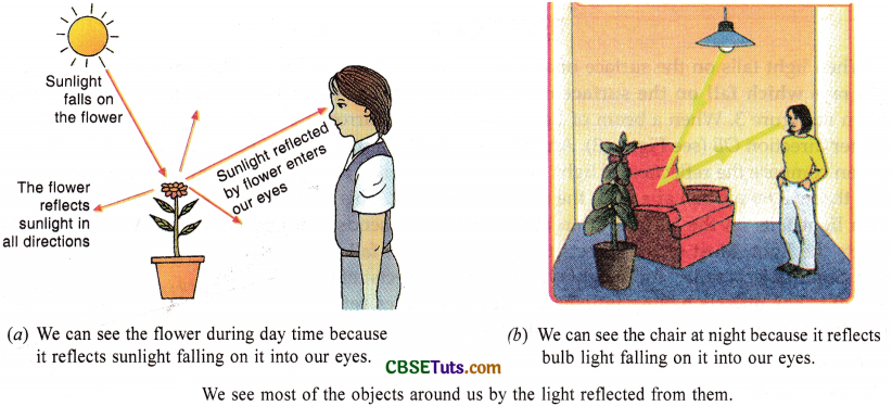 What is Light and What is its Nature? - CBSE Tuts