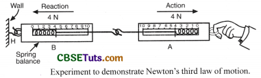 Newton’s Third Law of Motion : Action & Reaction - CBSE Tuts