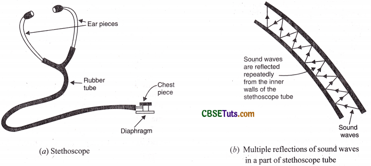 Reflection of Sound : Laws, Applications, Examples and Echo - CBSE Tuts