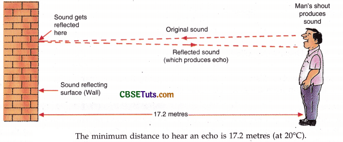 Reflection of Sound : Laws, Applications, Examples and Echo - CBSE Tuts