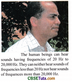 Reflection of Sound : Laws, Applications, Examples and Echo - CBSE Tuts