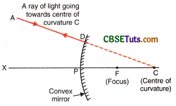 Convex Mirror - Ray diagram, Images Formed with Steps and Uses - CBSE Tuts