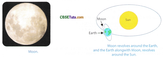 Satellites in Space - Definition, Types and Earth's Natural Satellite ...