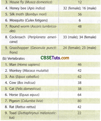 Chromosomal Theory of Inheritance: Observations and Inheritance - CBSE Tuts