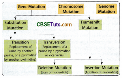 Mechanism of the Development of Variation - Mutation and Recombination ...