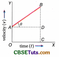 Derive the Equation of Motion with the Graphical Method - CBSE Tuts