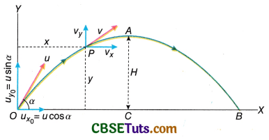 Projectile Motion : Definition, Concepts and Solved Examples - CBSE Tuts