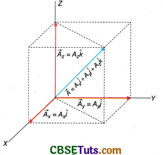 Three Dimensional Resolution of Vectors : Algebraic Representation - CBSE Tuts