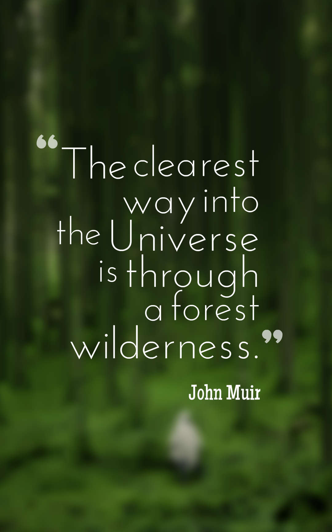 45 Inspirational Forest Quotes And Sayings 45-inspirational-forest-quotes-and-sayings