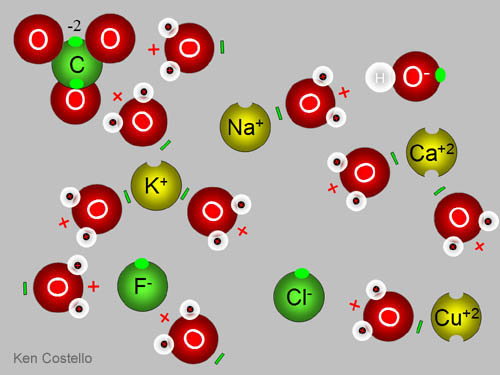 Les ions | Bases de la chimie pour l'environnement