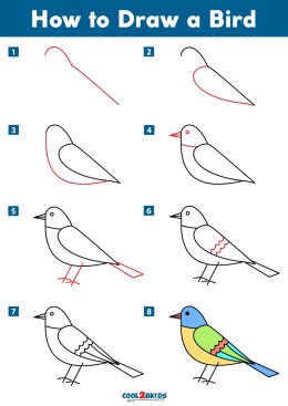 How To Draw A Bird Warehouse Of Ideas
