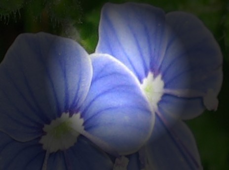 Create A Spotlight Effect using Canvas and Scrawl.js | CSS Script