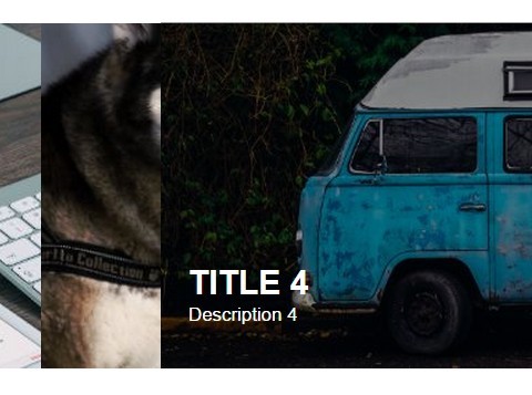 10 Best Accordion Components In Pure JavaScript & CSS (2022 Update) - CSS Script