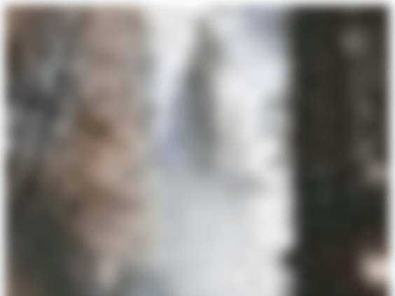 Modern Retina Ready Image Lazy Loader Lazyestloadjs Css Script