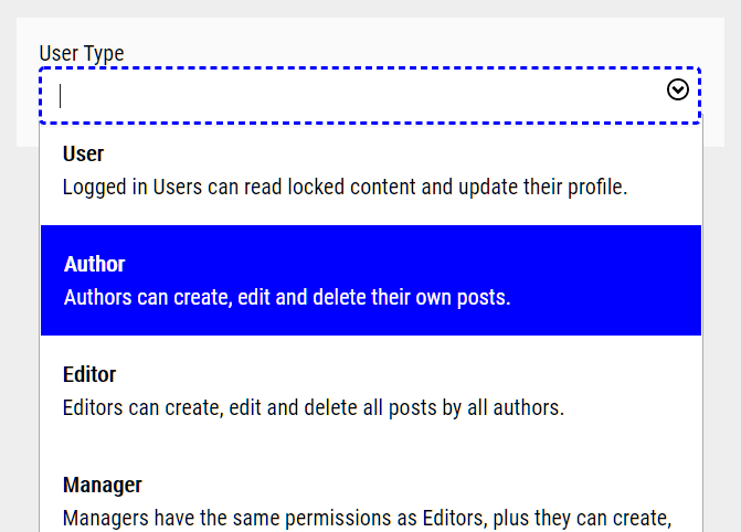Custom Filterable Select Input In Pure Javascript Css Script 