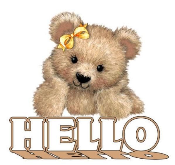 How Do You Say Teddy Bear In Spanish World Of Science how-do-you-say-teddy-bear-in-spanish-world-of-science