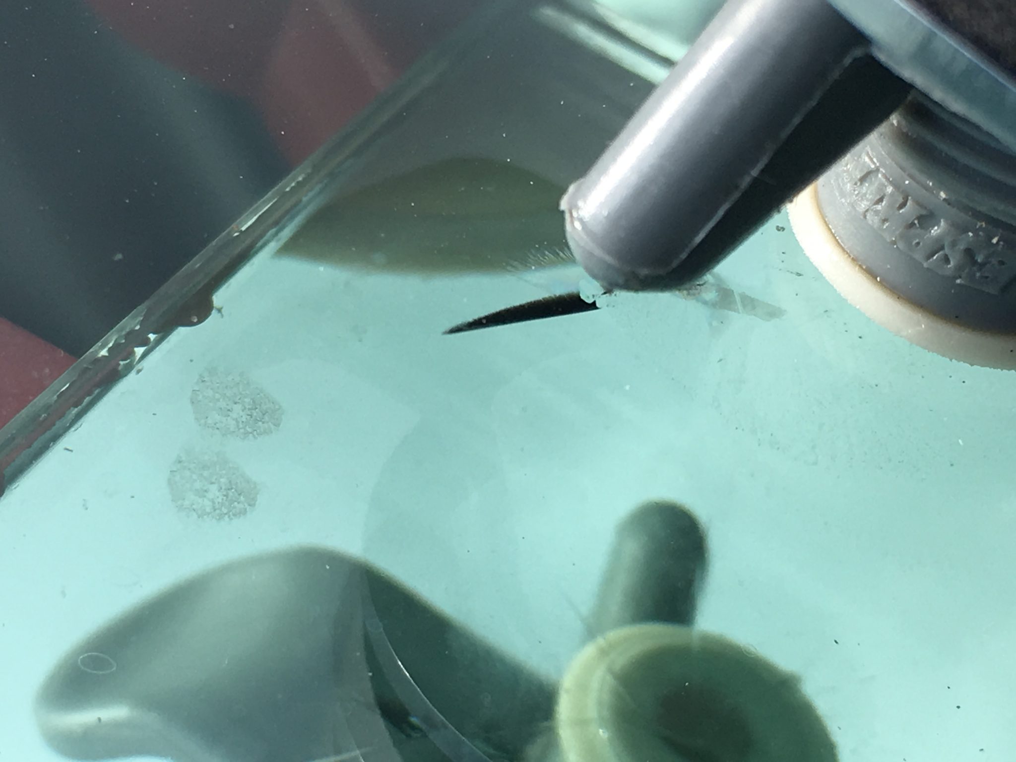 Windscreen Repair Progress - Devon Windscreens