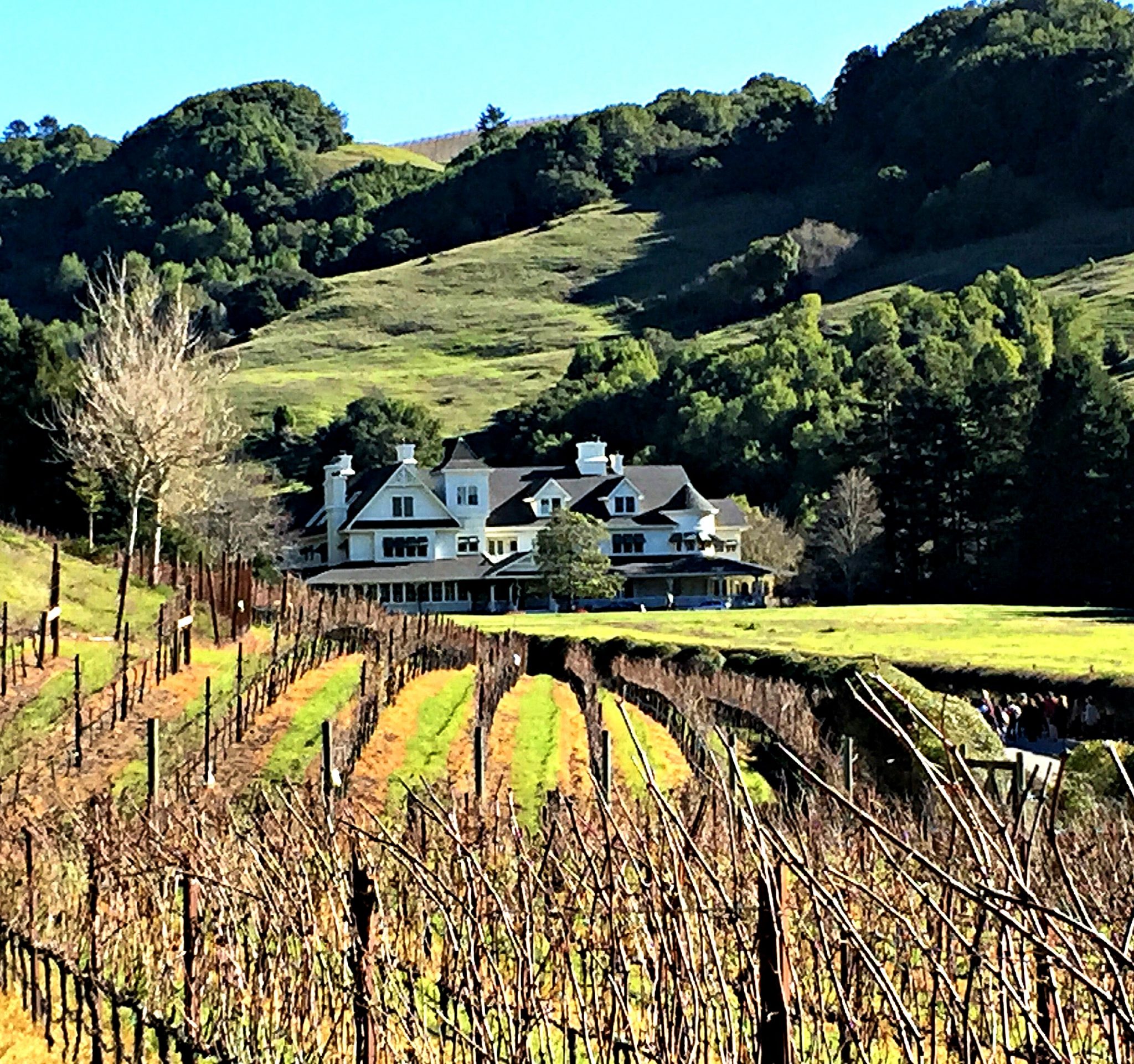 #StrangeMagicEvent Visits A Galaxy Not So Far Away-Skywalker Ranch ...