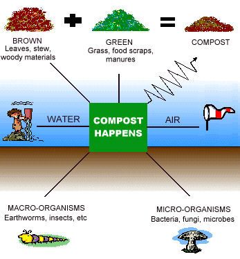 Overview of Composting Methods | EcoMENA