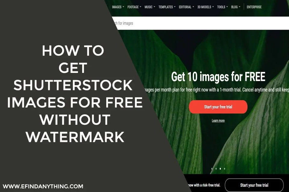 How To Get Shutterstock Images For Free Without Watermark how-to-get-shutterstock-images-for-free-without-watermark