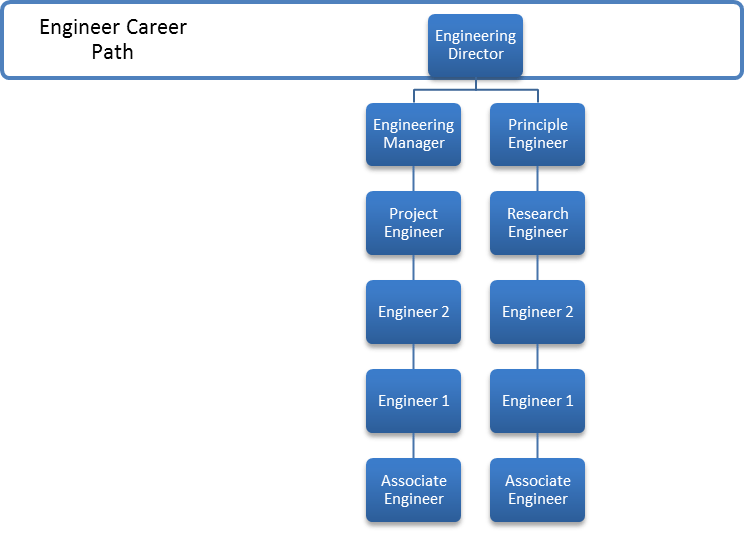 how-to-evaluate-career-progression-within-a-company-elephants-at-work