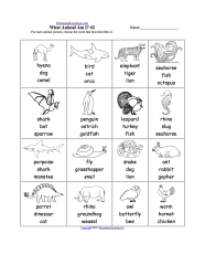 What Am I Worksheet Mark Library What Am I Worksheet Mark Library