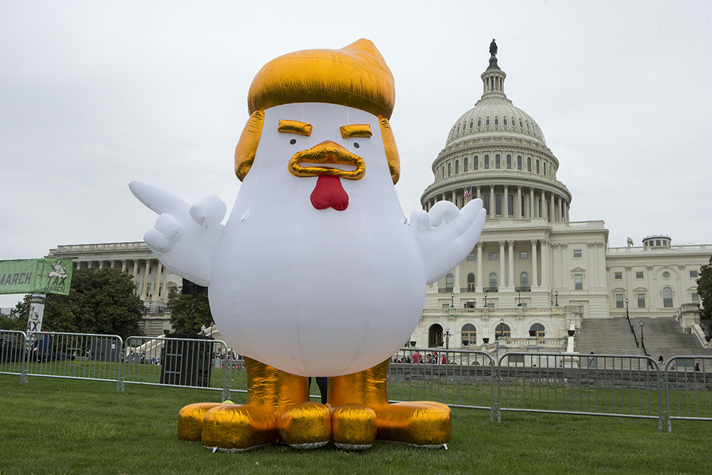 Insane Person Puts an Inflated Donald Trump Chicken in Front of White ...