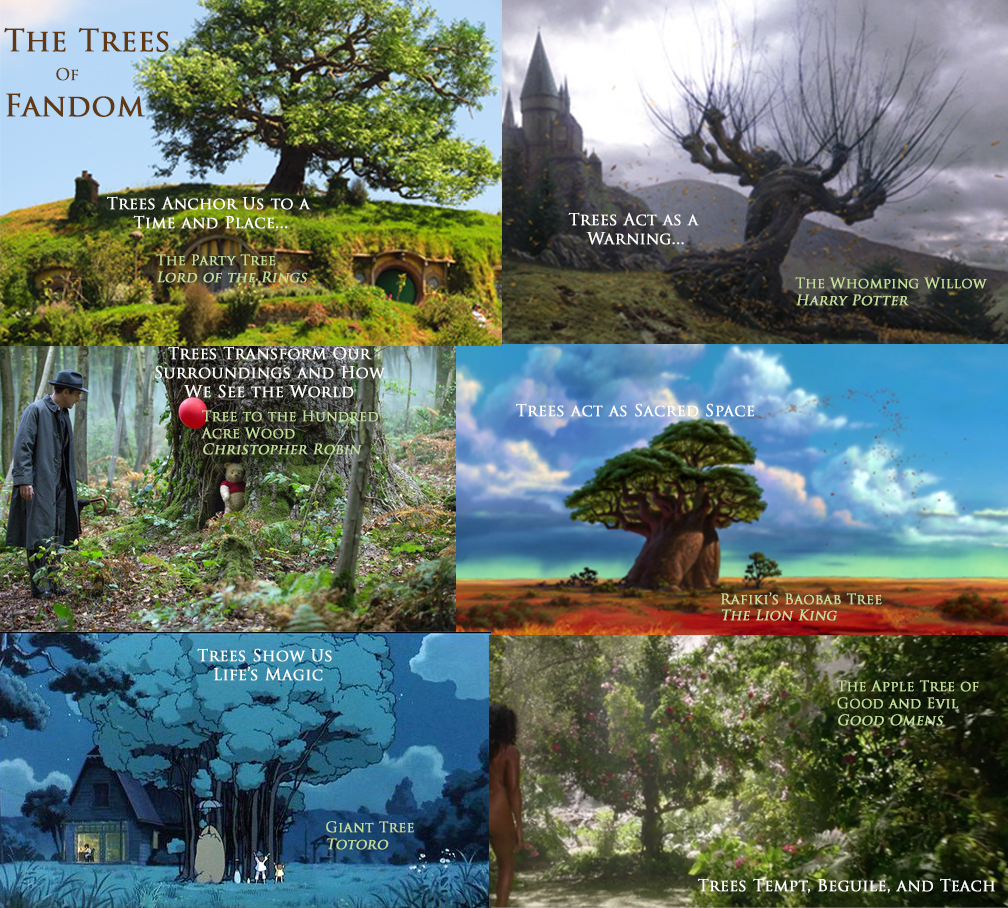 The Top Trees of Fandom