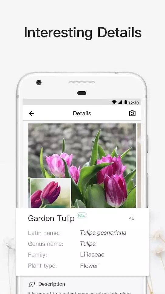 apple-plant-identification-app-thepoetandtheplant