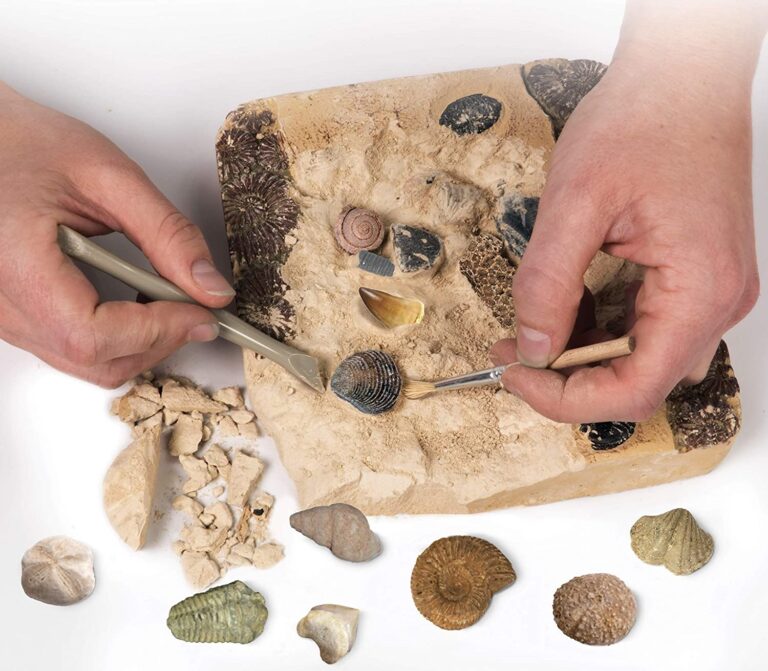 Amazon: National Geographic Mega Fossil Dig Kit