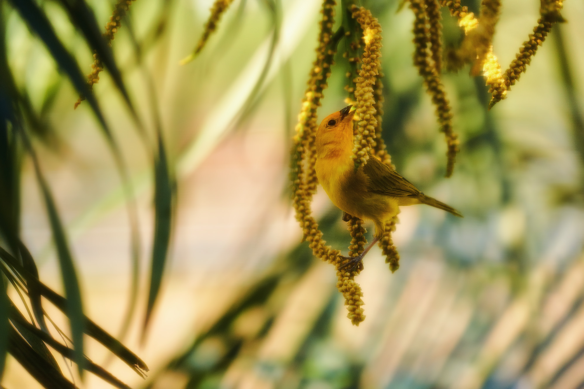 Fine Art Photography by Christopher Johnson