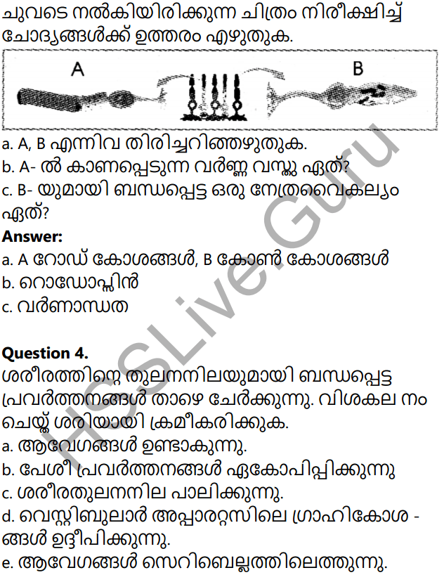 Kerala Syllabus 10th Standard Biology Solutions Chapter 2 Windows Of kerala-syllabus-10th-standard-biology-solutions-chapter-2-windows-of