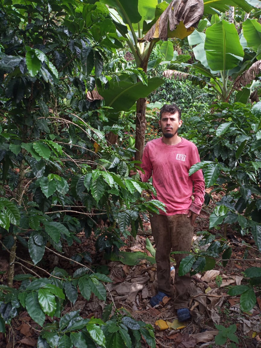 LOTE #23 EDWIN EVER SABILLÓN PAZ – IHCAFE – Instituto Hondureño del Cafe