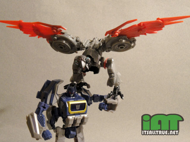 Vault Review: Transformers Dark of the Moon Laserbeak « It'sAllTrue.Net