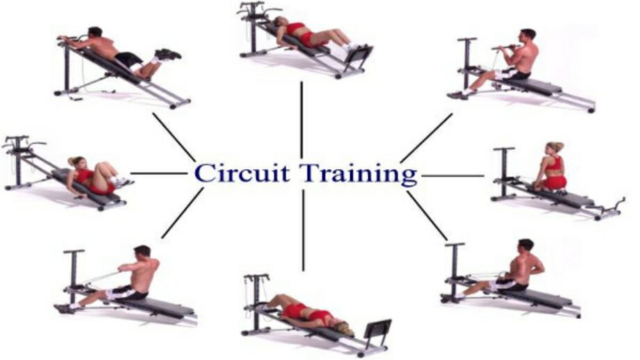 what-are-the-examples-of-circuit-training-circuit-diagram