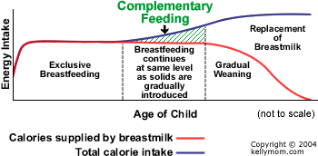 Complementary Feeding and Baby Led Weaning | Baby Dust Diaries
