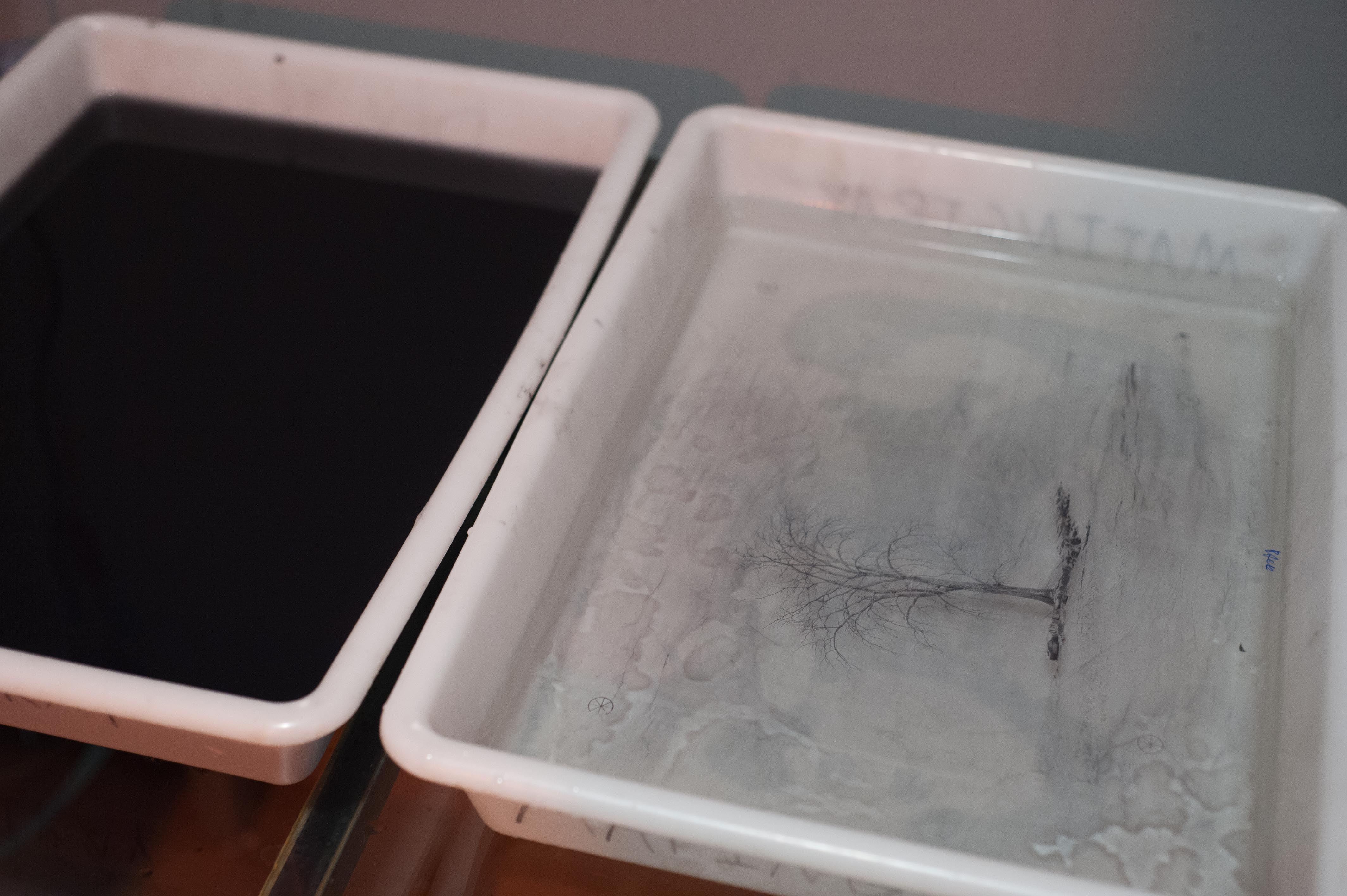 Carbon Transfer Prints | Ken Rieves Photography. Commercial, Portrait ...