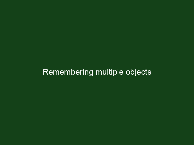 Remembering multiple objects - Key To Study