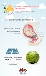 Percentage Of Babies Born At 39 Weeks BABBIES CIP