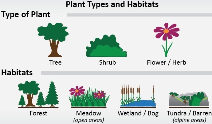 Types Of Habitats For Plants Octopussgardencafe types-of-habitats-for-plants-octopussgardencafe