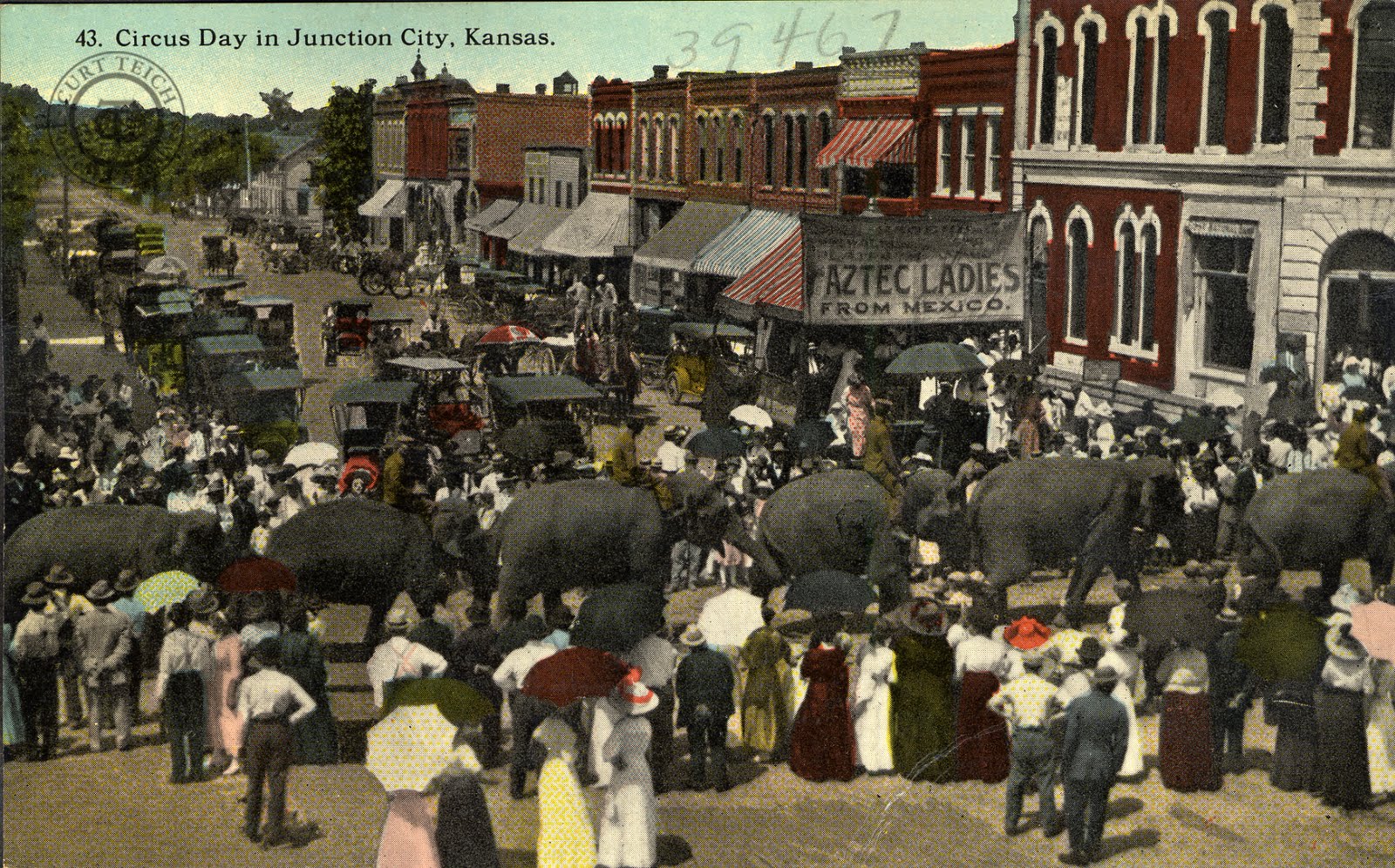 CIRCUS PARADE | mardecortésbaja.com