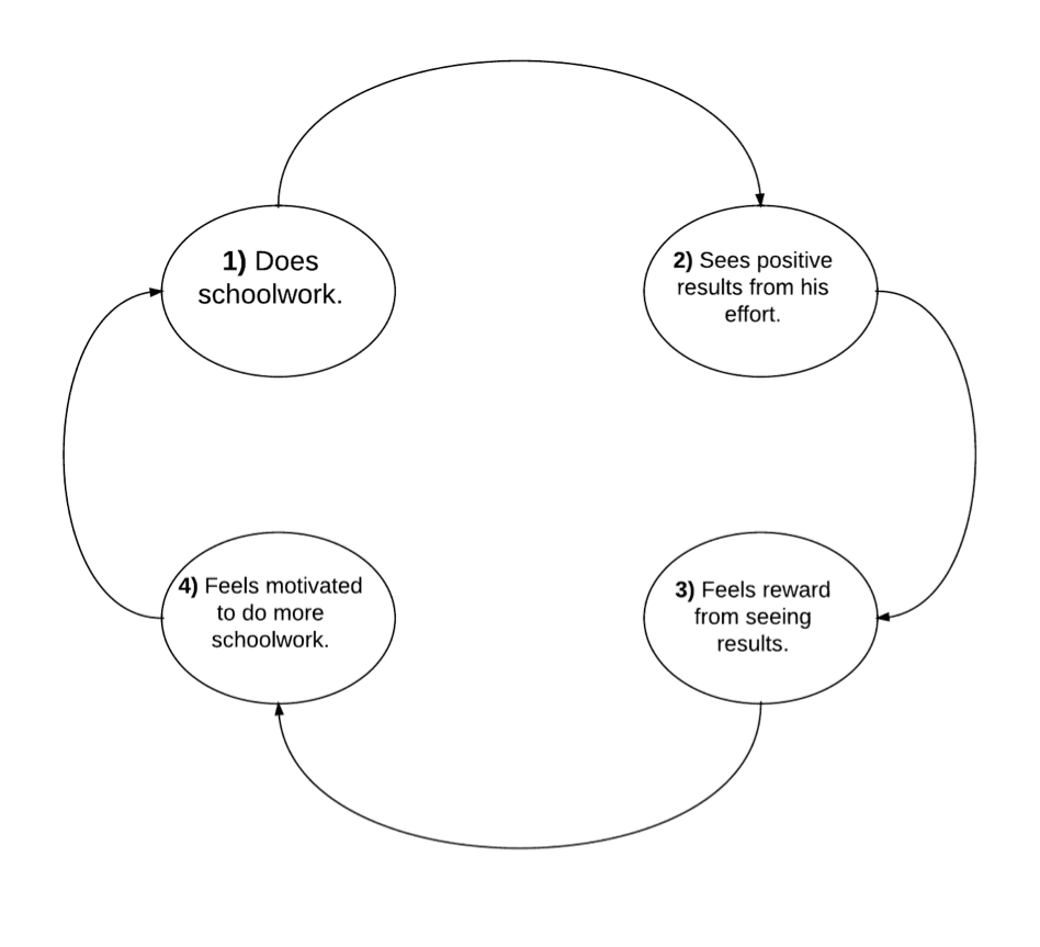 Feedback Loops - Northwest Educational Services